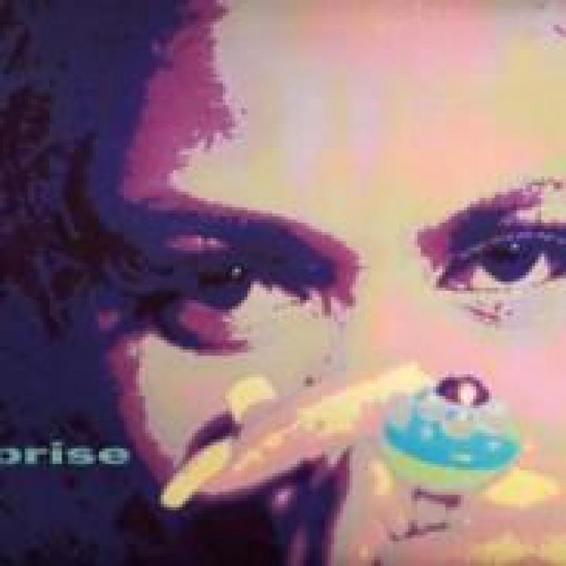 CRYSTAL WATERS/SURPRISE (LP) レコード通販・買取はサウンドファインダー