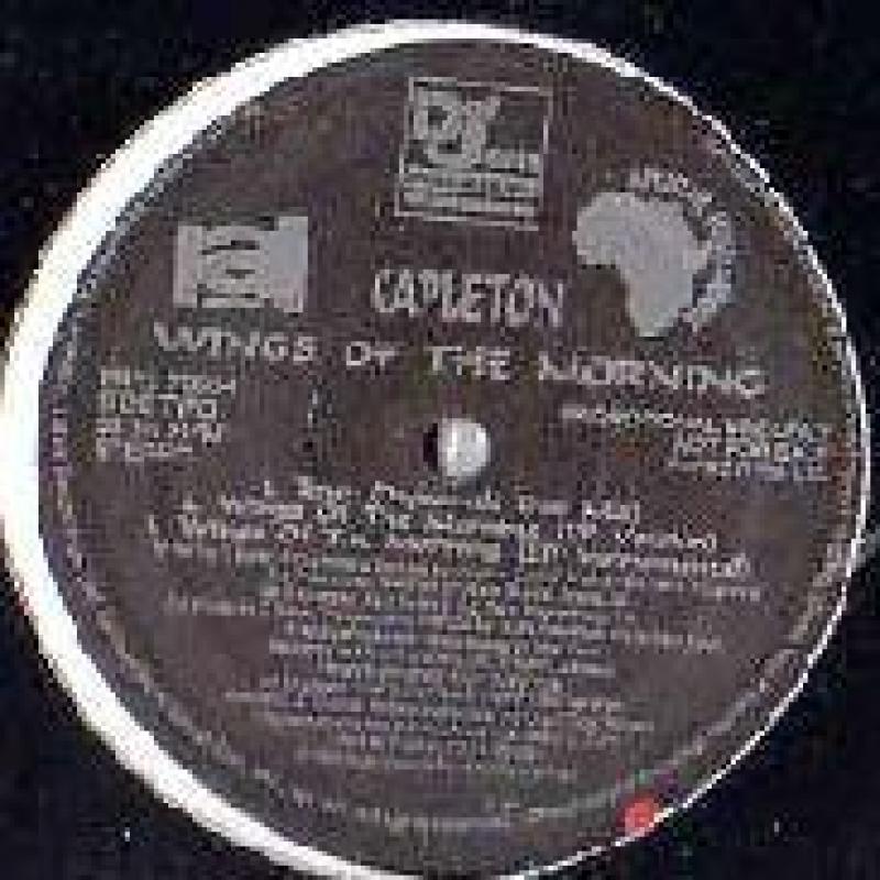 CAPLETON/WINGS OF THE MORNING feat. METHOD MAN レコード通販・買取はサウンドファインダー