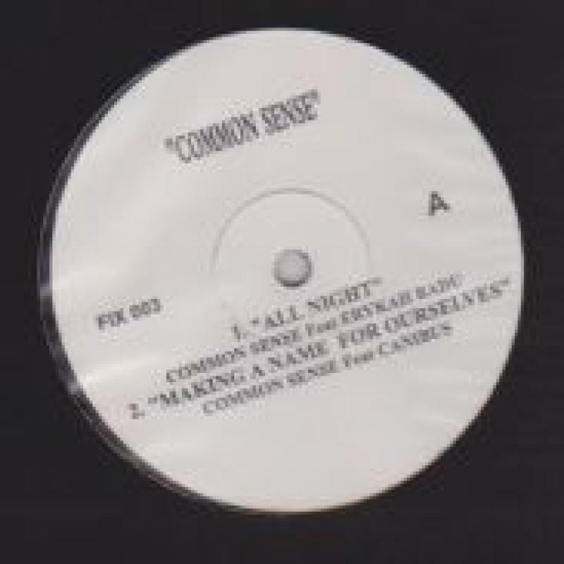 COMMON SENSE/ALL NIGHT LONG レコード通販・買取はサウンドファインダー