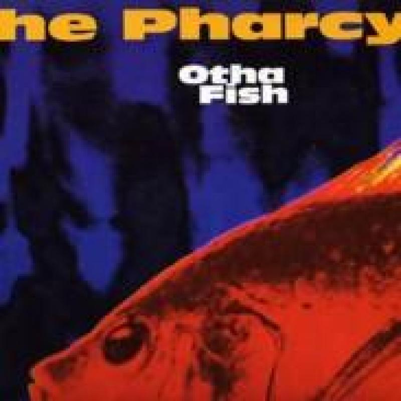 THE PHARCYDE/OTHA FISH レコード通販・買取はサウンドファインダー