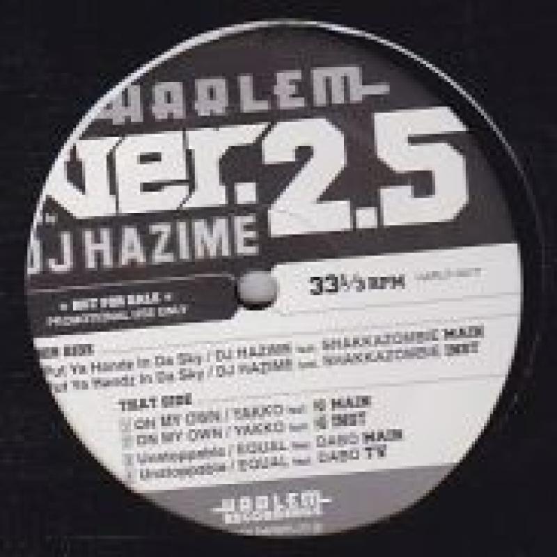 DJ HAZIME/PUT YA HANDZ IN DA SKY レコード通販・買取はサウンドファインダー
