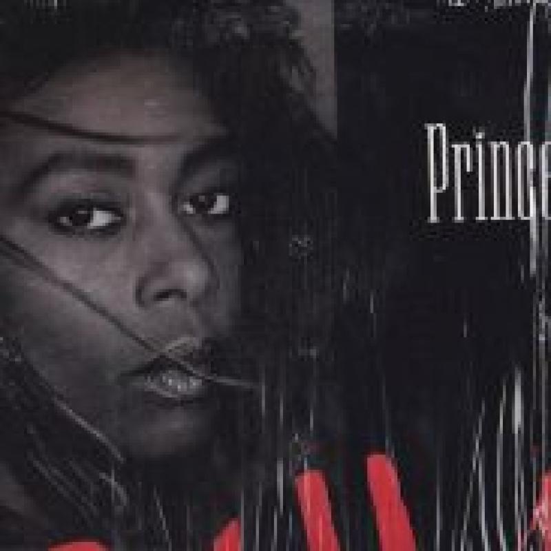 PRINCESS/RED HOT レコード通販・買取はサウンドファインダー