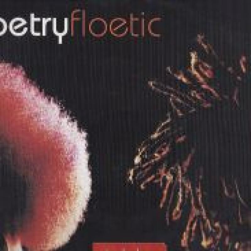 FLOETRY/FLOETIC レコード通販・買取はサウンドファインダー