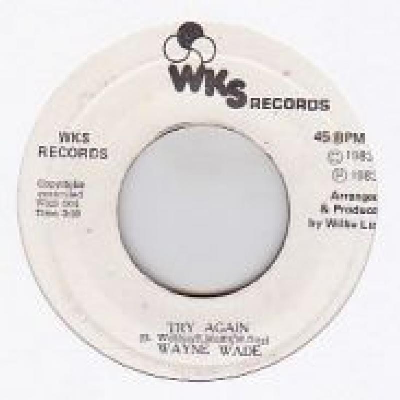 WAYNE WADE/TRY AGAIN レコード通販・買取はサウンドファインダー