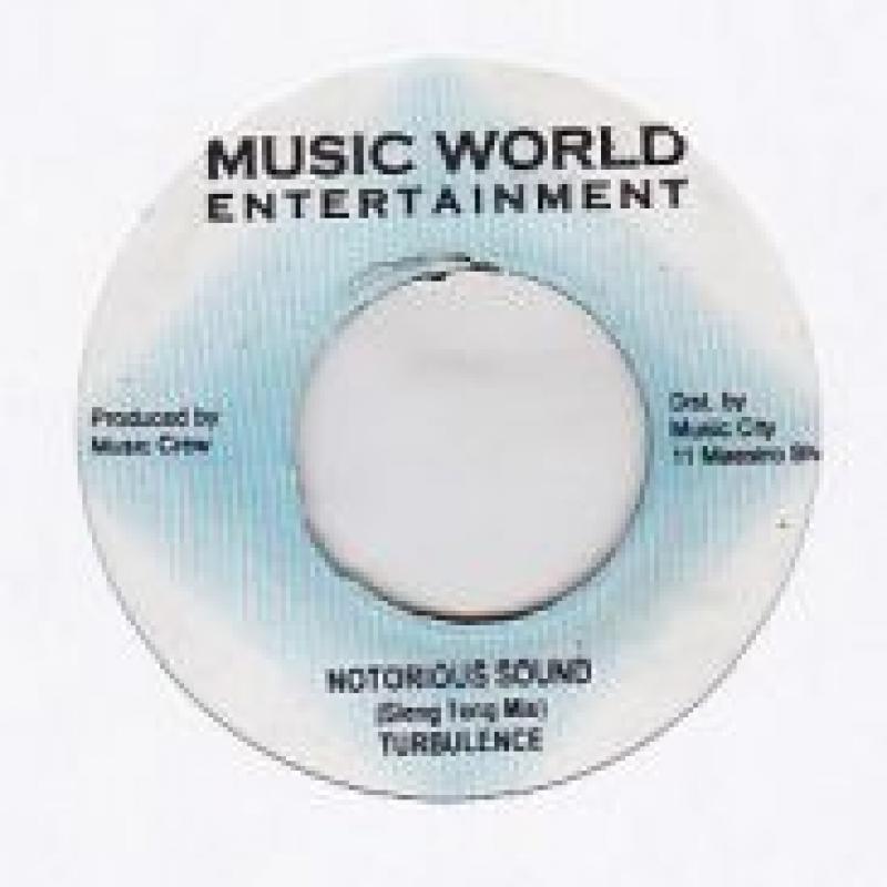 TURBULENCE/NOTORIOUS SOUND レコード通販・買取はサウンドファインダー