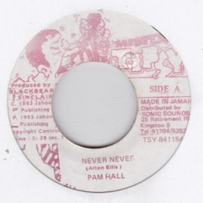 PAM HALL/NEVER NEVER レコード通販・買取はサウンドファインダー