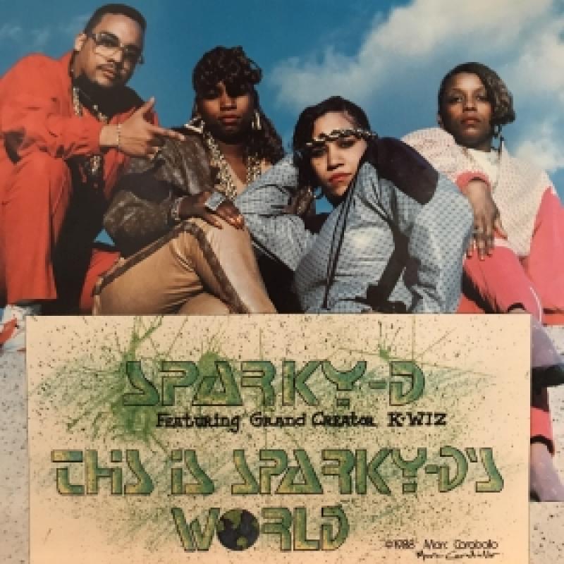 SPARKY-D/THIS IS SPARKY-D'S WORLD (LP) レコード通販・買取はサウンドファインダー