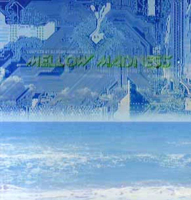 DJ BOBO JAMES a.k.a. D.L/MELLOW MADNESS レコード通販・買取はサウンドファインダー