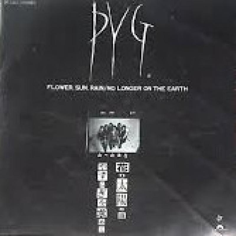 PYG/花・太陽・雨 レコード通販・買取はサウンドファインダー