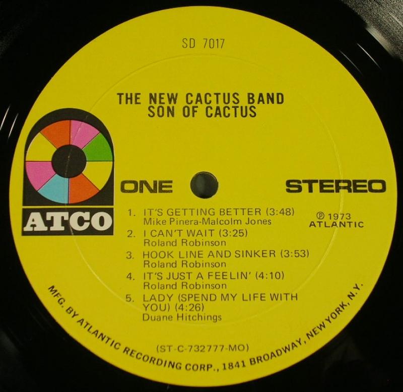 The New Cactus Band /Son Of Cactus レコード通販・買取はサウンドファインダー