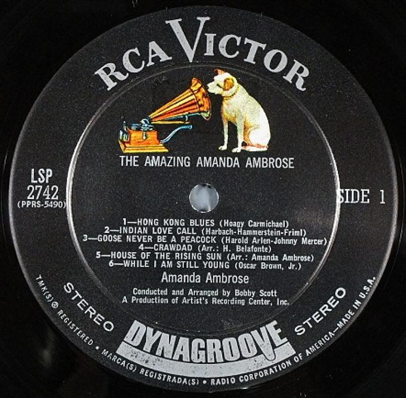 Amanda Ambrose /The Amazing Amanda Ambrose レコード通販・買取はサウンドファインダー